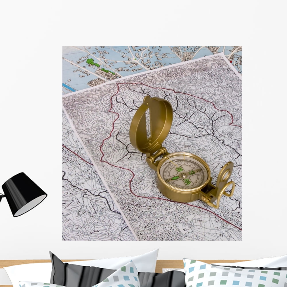 Compass Maps Wall Mural by Wallmonkeys Peel and Stick Graphic (36 in H ...