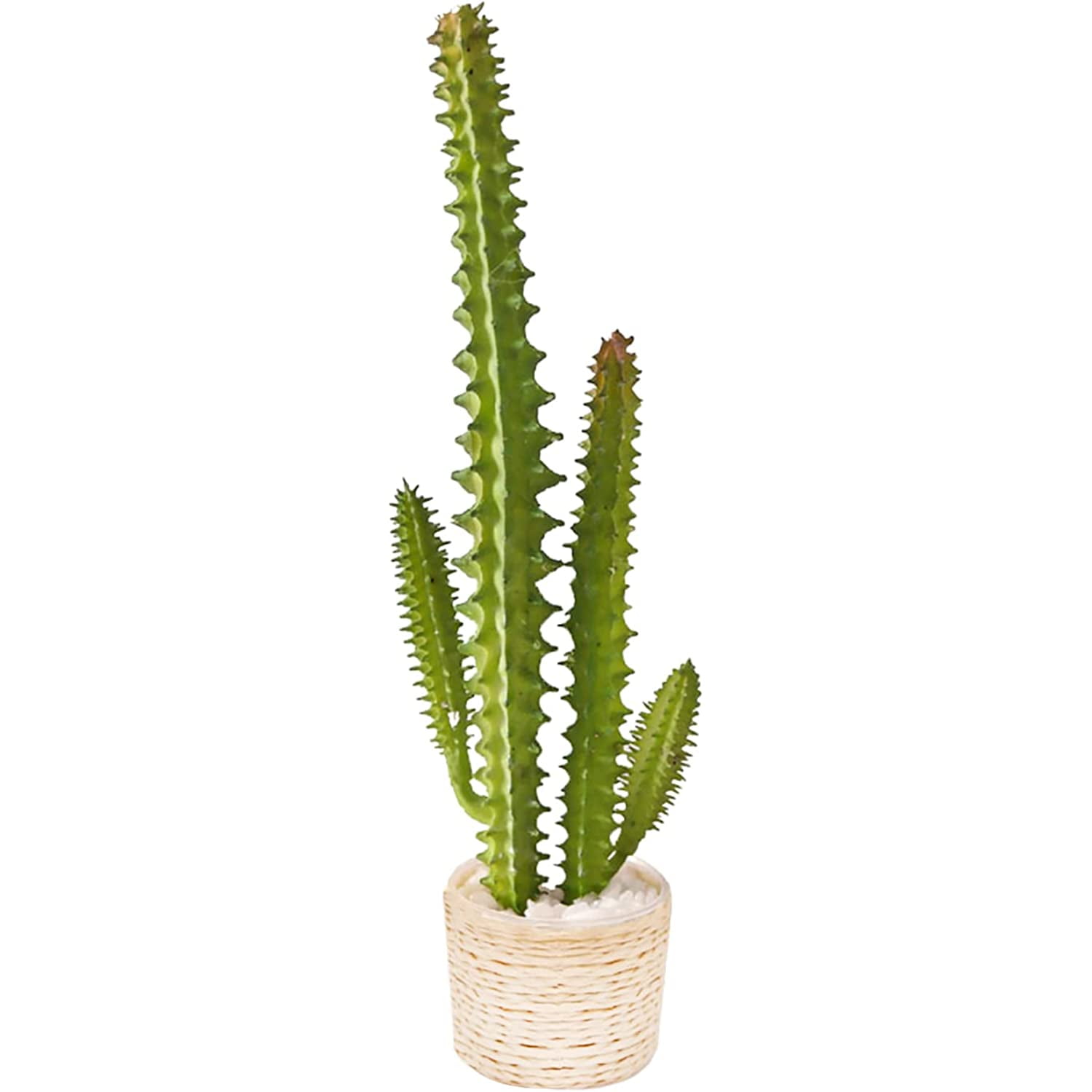 Miniature Cactus 1/6 Scale Potted Plant Fake Mini Cactus Plant Bonsai ...