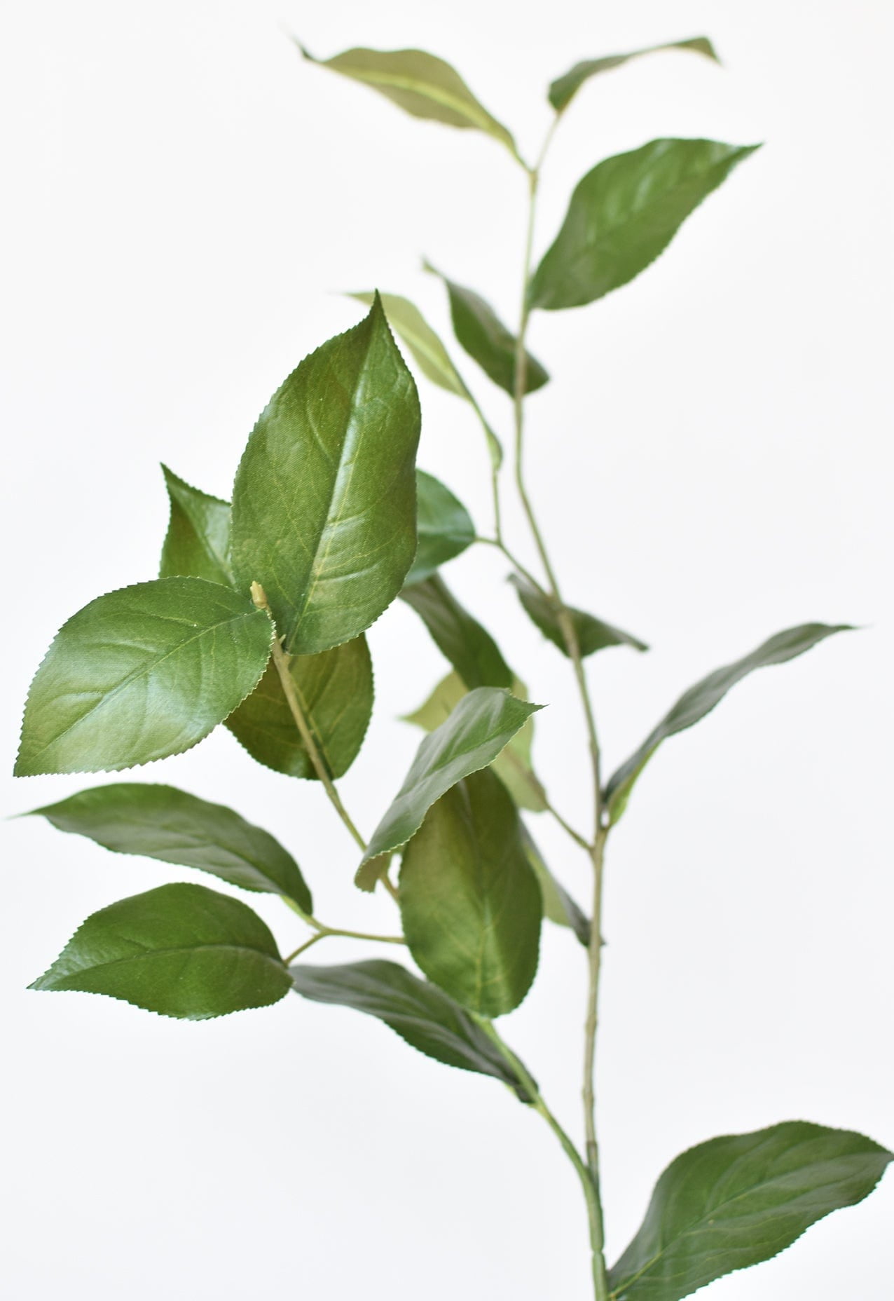 36" Artificial Lemon Leaf Branch Stem - Greenery Plant Decor - Walmart.com