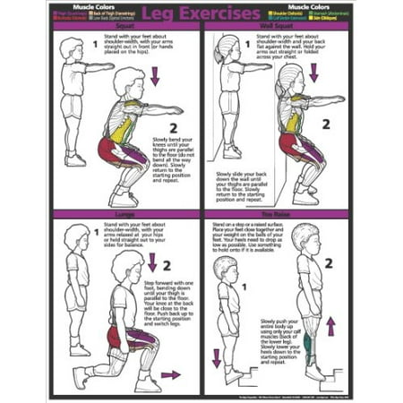 Fitnus Chart Series Leg 17" X 22" Laminated Poster | Walmart Canada