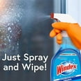 Windex, Commercial Line Glass Cleaner Refill, 128 fl oz, Blue Original ...