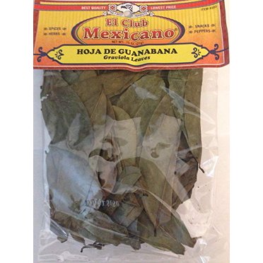 Graviola Tea Mega Pack (100 Bags) Soursop - in Resealable Zip Pouch ...