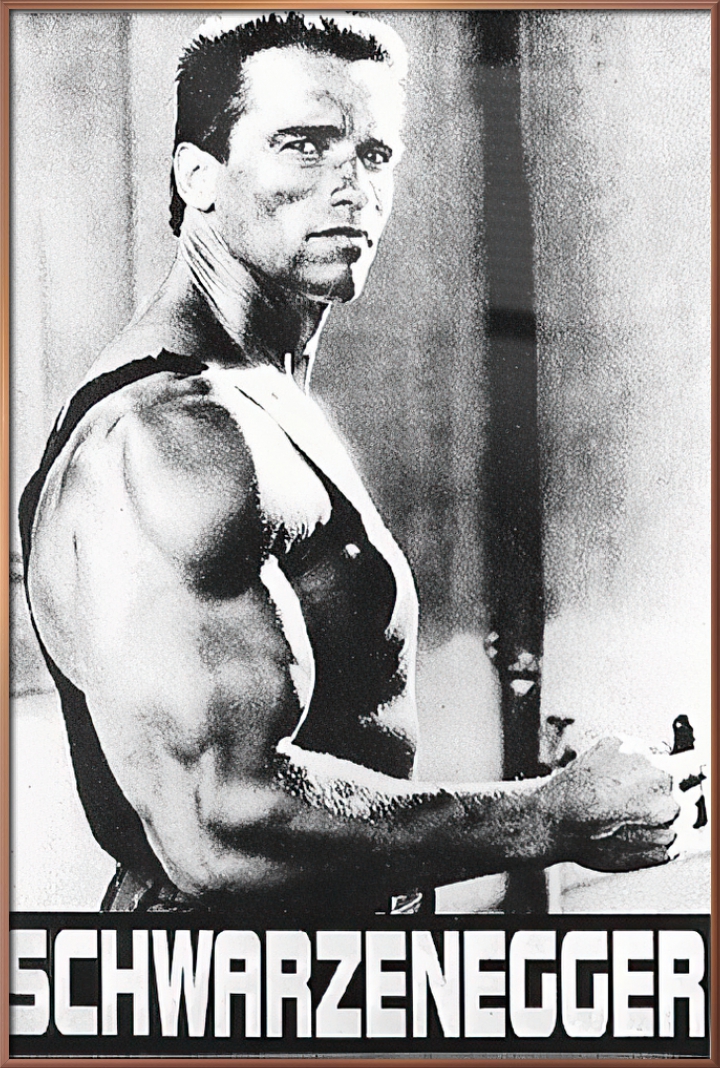 Arnold Schwarzenegger - Framed Movie / Personality Poster (Arnie With ...