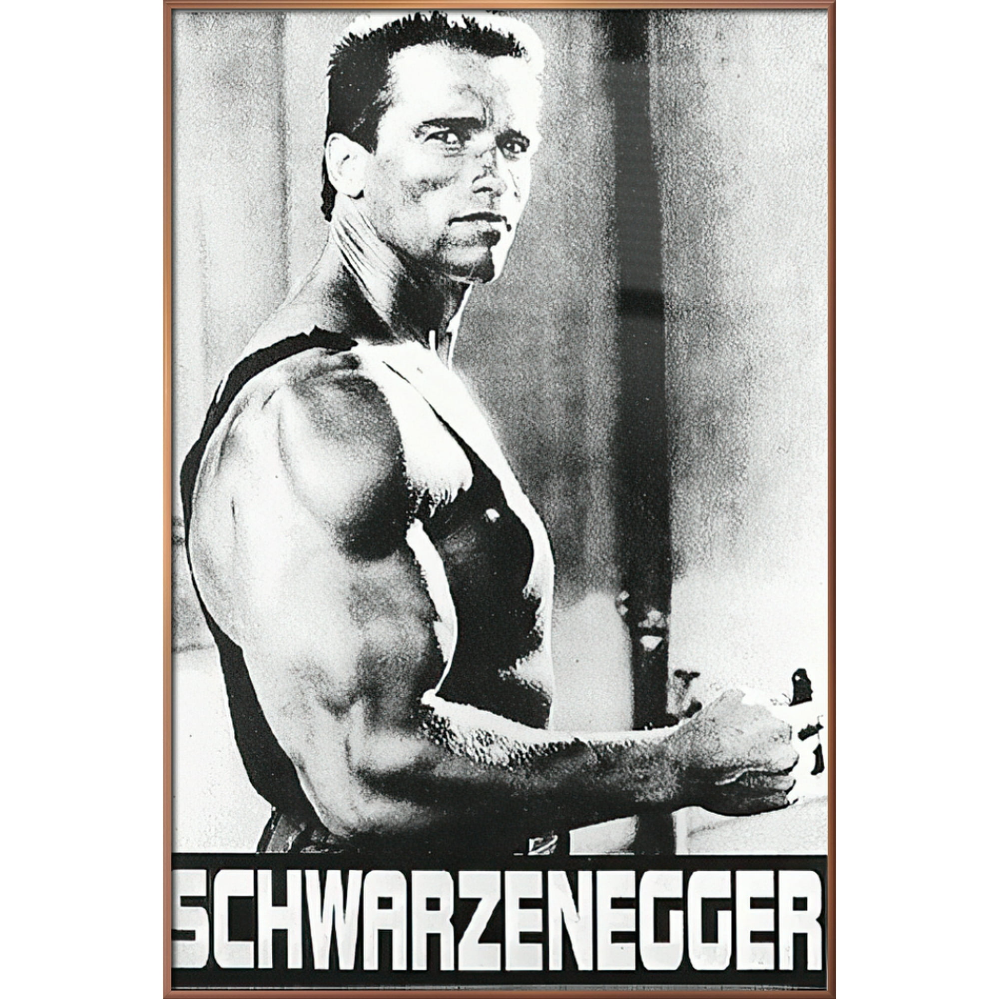 Commando Arnold Poster