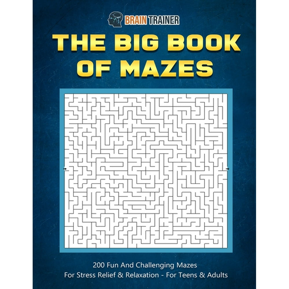 Fun Mazes for Everyone: The Big Book Of Mazes 200 Fun And Challenging ...