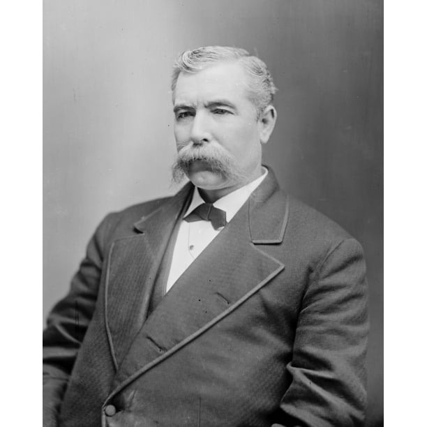 Print: Young, Hon. Thomas Lowry Of Ohio, circa 1865 - Walmart.com