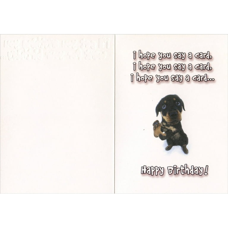 Puppy Birthday Card