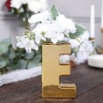 BalsaCircle 6" Gold E Metallic Ceramic Flower Vase, Letter Symbols for ...
