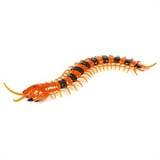 RC Creatures Remote Control Infrared Centipede - Walmart.com