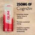 BUM Energy Dr Bum Energy Drink, 112 mg Natural Caffeine, 12 fl oz Can ...