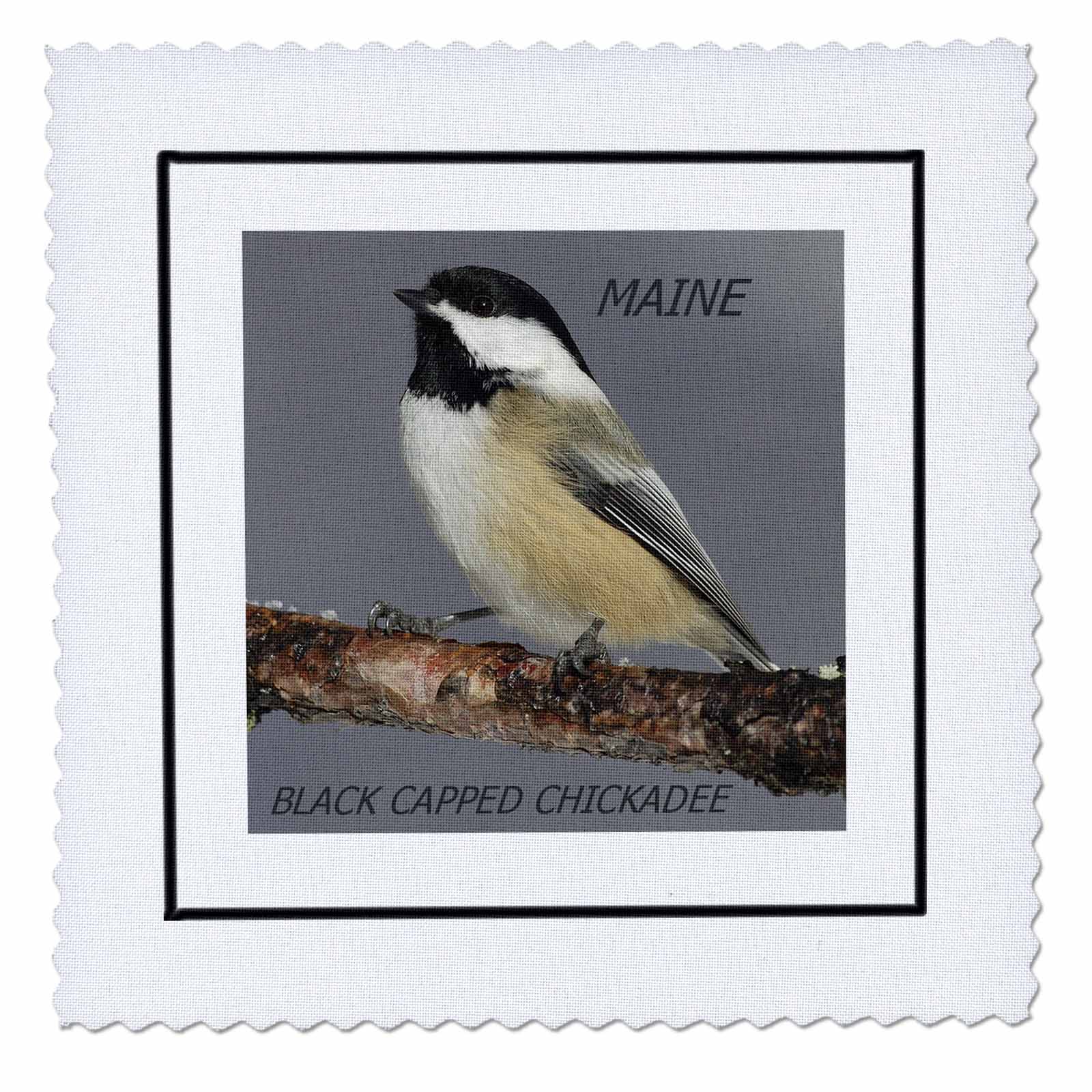 3dRose State Bird Of Maine Black Capped Chickadee - Quilt Square, 6 by ...