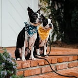 Vivifying Dog Check Cord, 32FT/10M Floatable Long Dog Training Rope for ...