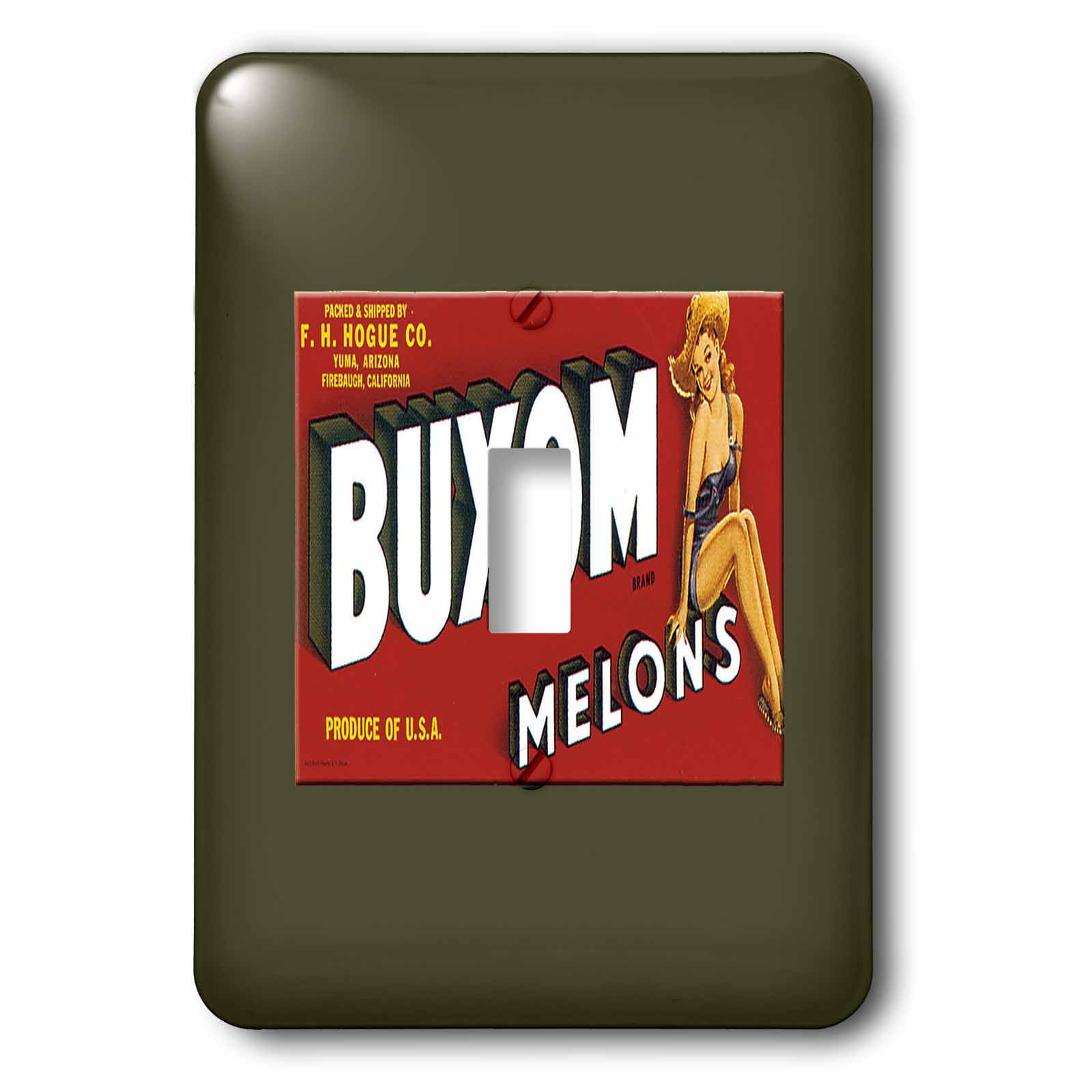 3dRose Buxom Brand melons Produce of USA with Pretty Country Pin Up ...
