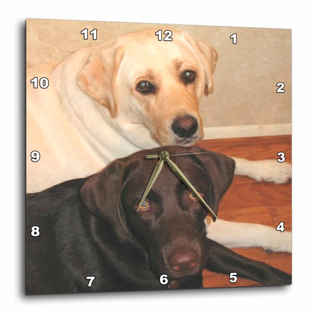 3dRose Labrador Retriever - Wall Clock, 15 by 15-inch - Walmart.com