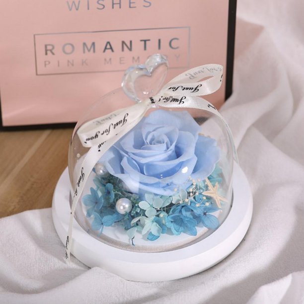 Popvcly Eternal Rose - Preserved Rose Flower in a Glass, Best Gift for ...