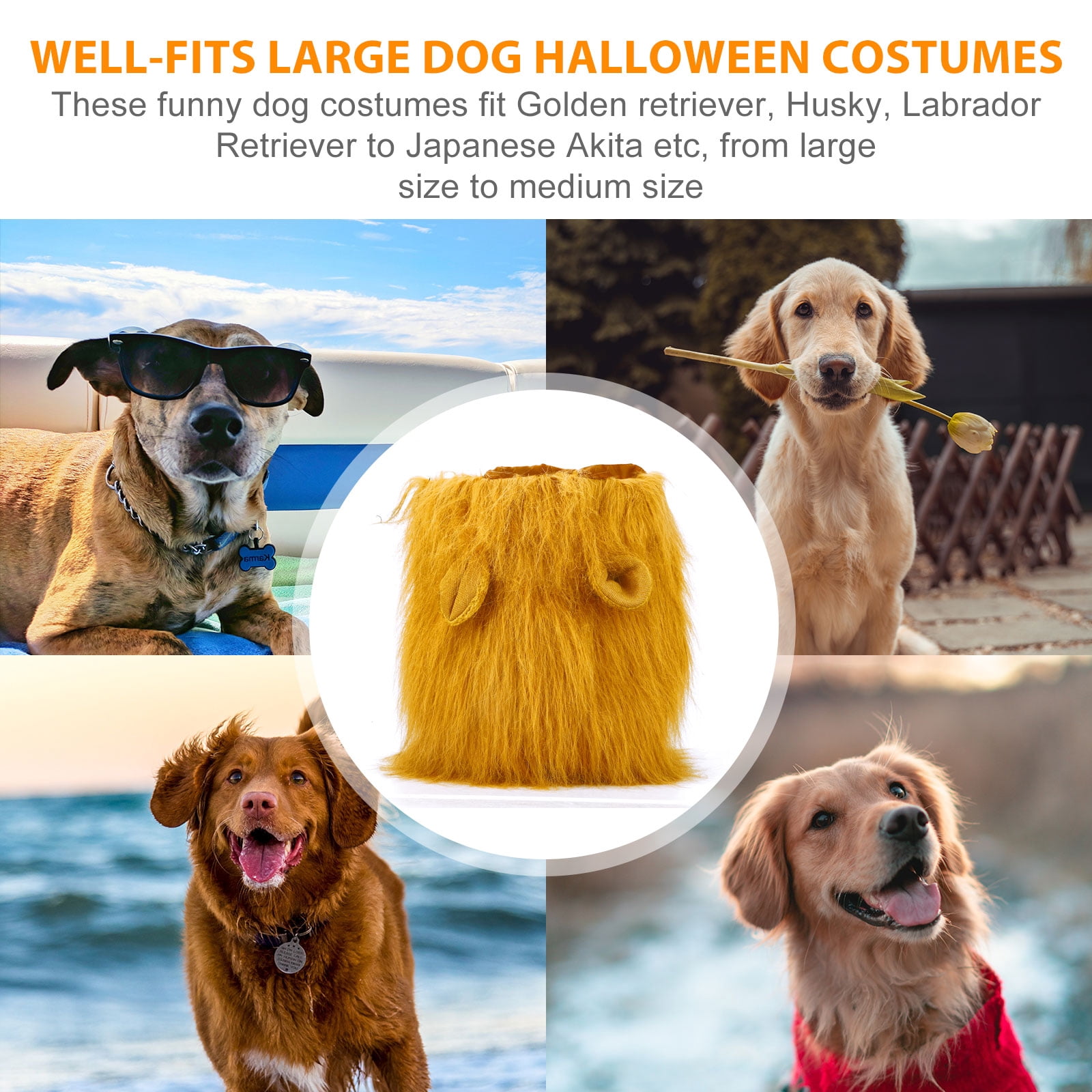 Funny Dog Costumes Lab