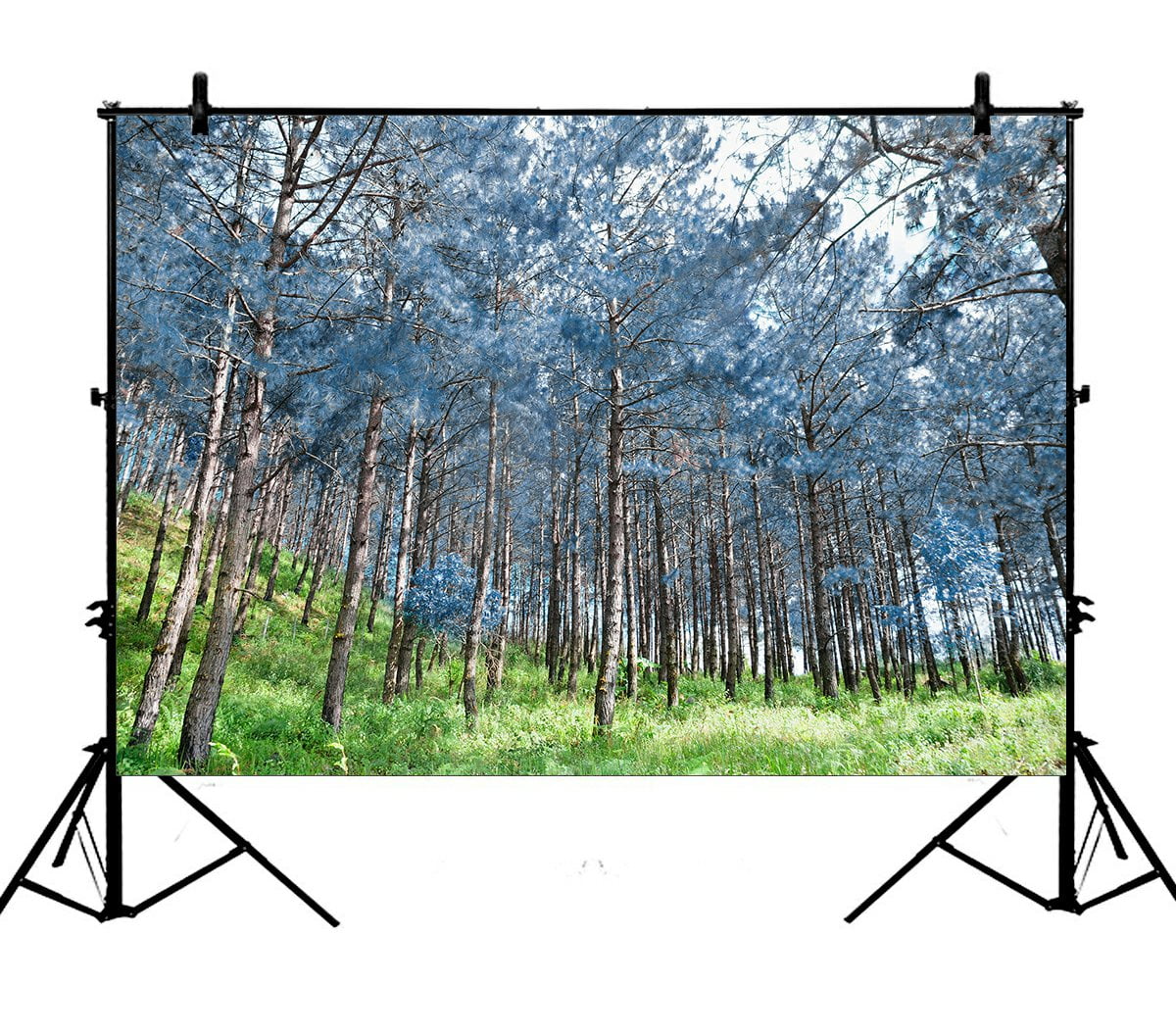 PHFZK 7x5ft Landscape Scenery Backdrops, Pine Forest Nature Art ...