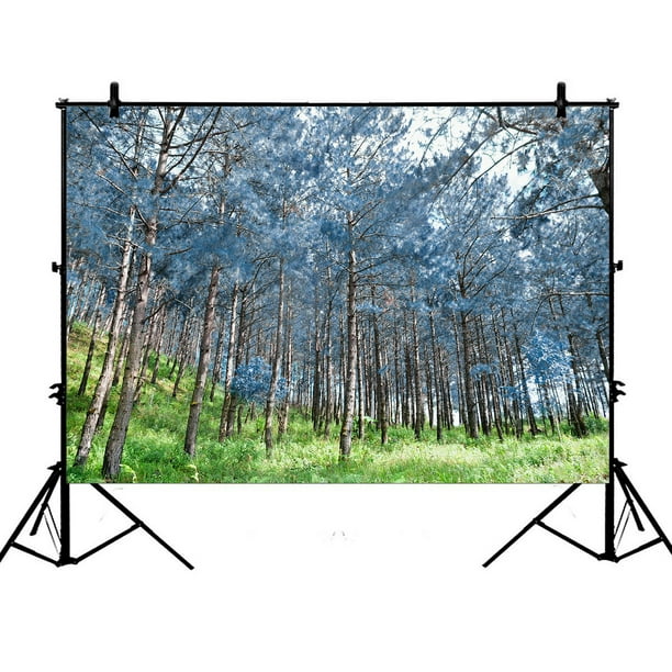 PHFZK 7x5ft Landscape Scenery Backdrops, Pine Forest Nature Art ...