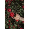 Polaroid Hi-Print Generation 2 2x3" Paper Cartridge, 60 Sheets ...