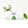 Simply Mints - Peppermint Natural Mints, 30g, Aspartame-Free, Gluten ...