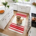 Colorful Stripes Washable Runner Rug 3X5 ft Red Wood Texture White Non ...