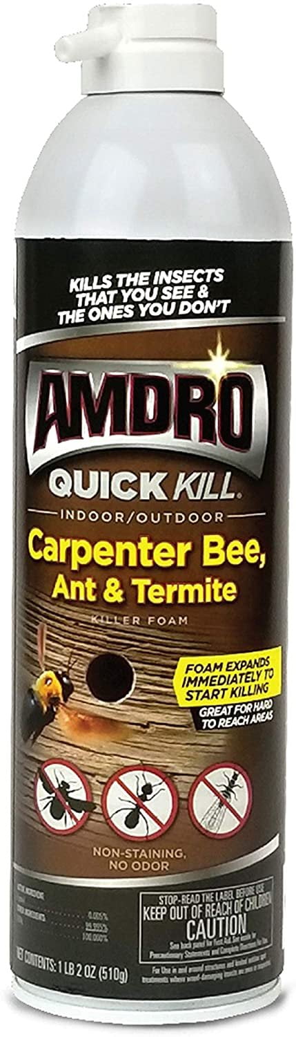 Amdro Carpenter Bee Killer Review - Picture Of Carpenter