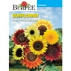 Burpee Organic Jerusalem Gold Hybrid Sunflower Flower Seed, 1-Pack ...