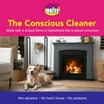 Quick N Brite 16 oz Fireplace Cleaning Kit, Nonabrasive Gel Cleaner ...