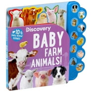 Busy Noisy Farm: Deluxe Sound Book Wood Module (Board Book) - Walmart.com