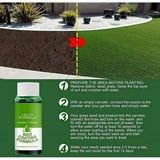 Liquid Grass Seed Spray for Lawn, Green Grass Lawn Spray, Liquid Lawn ...