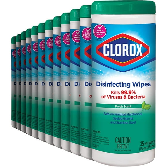 Disinfectant Wipes | Walmart Canada