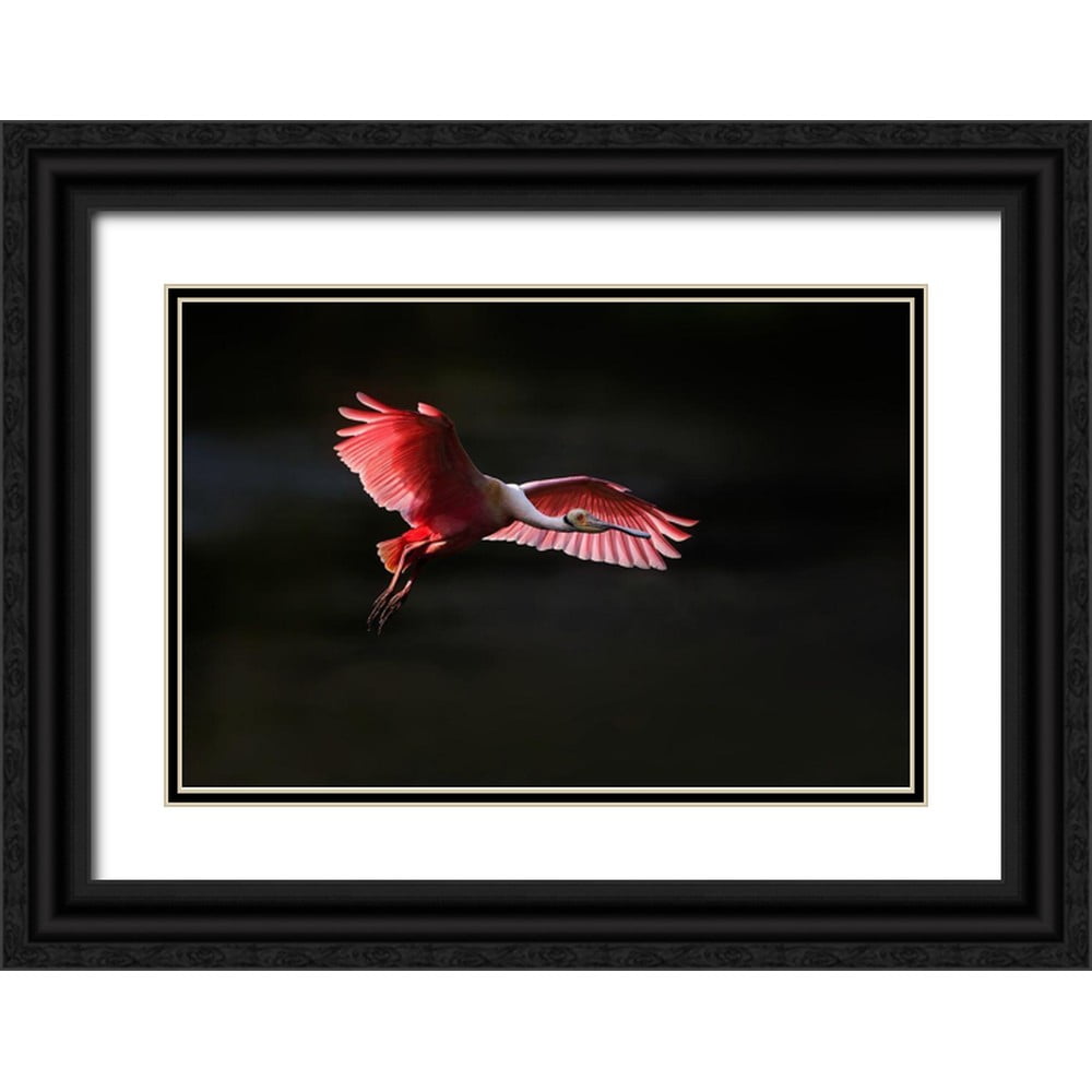 Chang, Phillip 14x11 Black Ornate Wood Framed with Double Matting ...