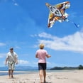 Airplane Kite, Large Beach Kites with Long Tail Winding Handle, Single ...