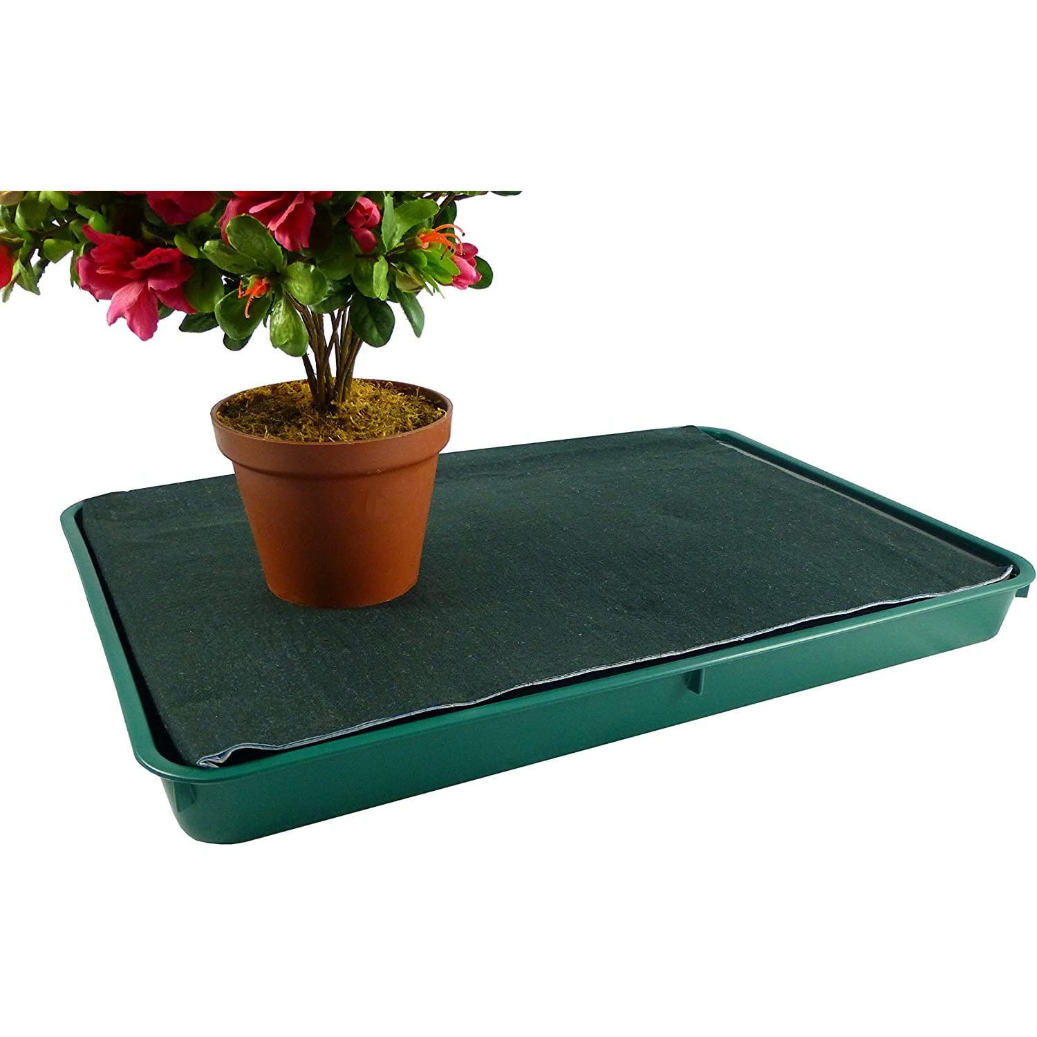 Bilot Large Self Watering Tray - Walmart.com