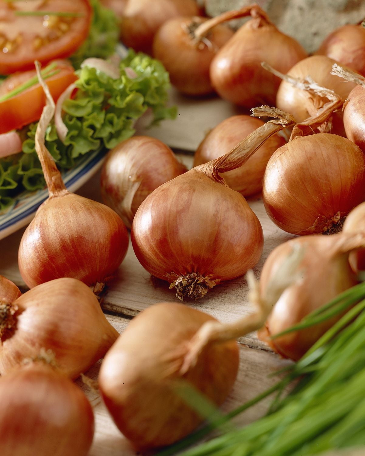 Onion Red Sun, Onion Red Sun 8 Bulbs - Walmart.ca