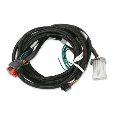 MSD 8874 Engine Wiring Harness - Walmart.com