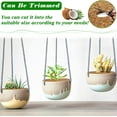 3 Pcs Coconut Fibers Mulch Ring Tree Protector Mat, Coco Coir Tree ...