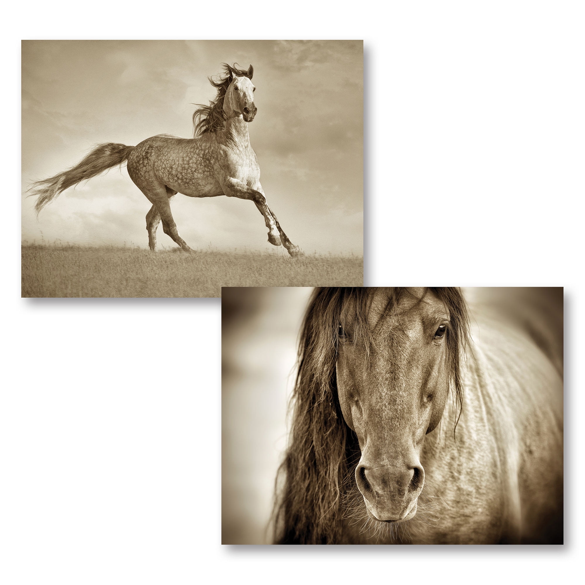 Gango Home Decor Horizontal Like the Wind & Mustang Sally by Lisa ...