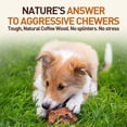Wildfang, Chewing Root, Size S, Natural Tree Root Chew Toy - Walmart.com