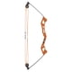 Bear Archery Apprentice Bow Set - Walmart.com