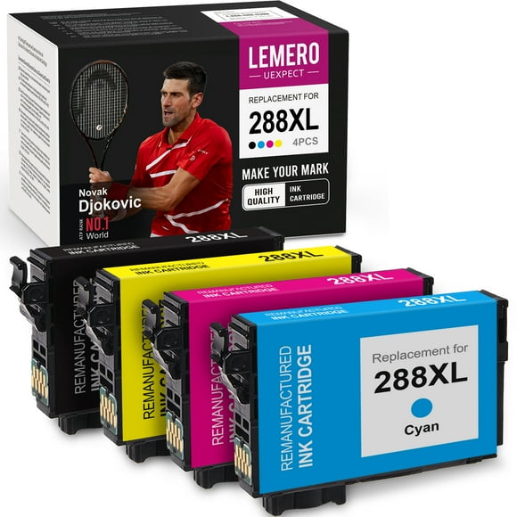 Epson 288 Ink Cartridges