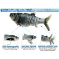 Flopping Fish Cat Toy, Electric Moving Fish Cat Toy, Realistic Plush ...