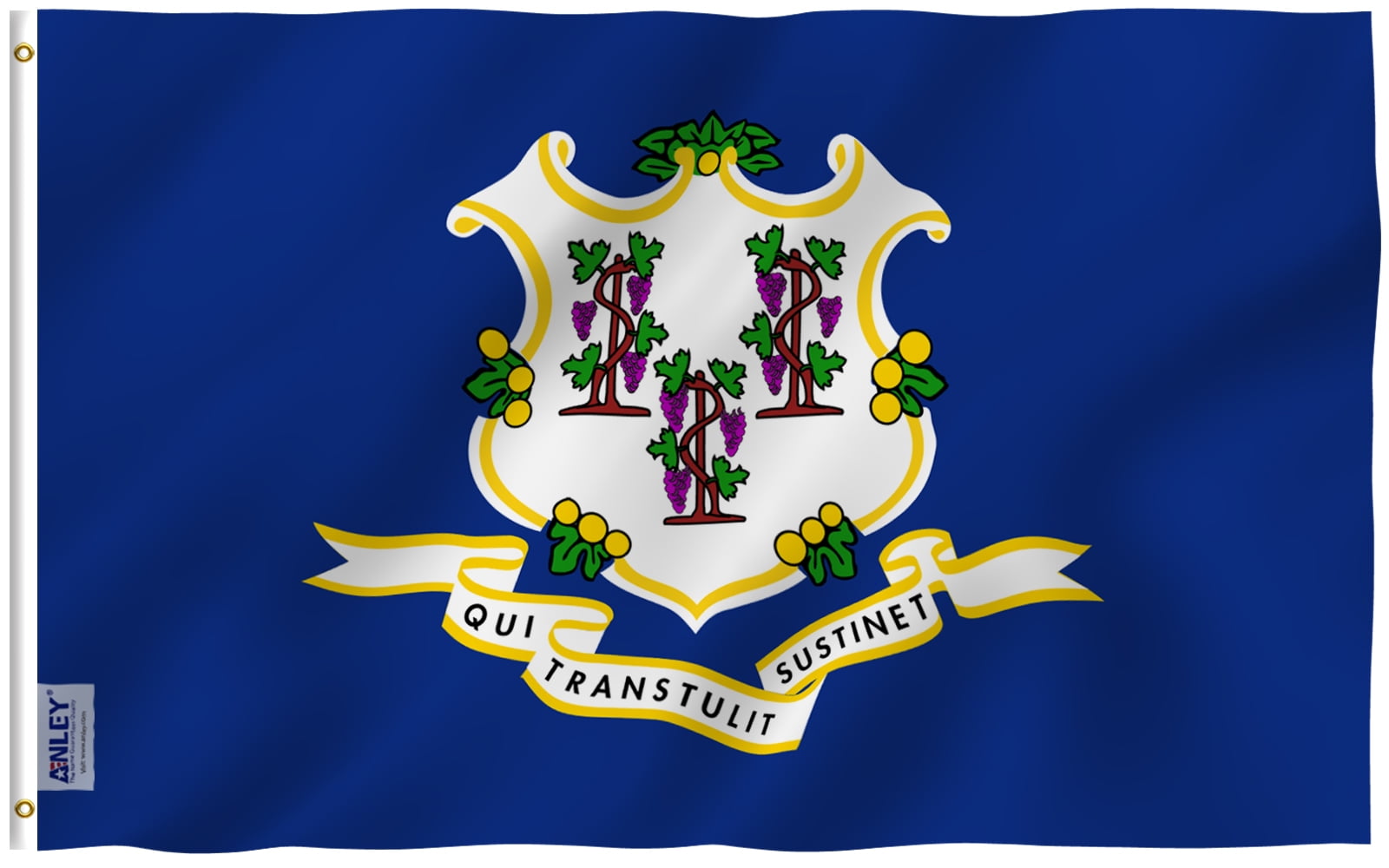 ANLEY 3 ft x 5 ft Connecticut State Flag - Connecticut CT Flags ...