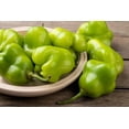 50 * Seeds Ubatuba CAMBUCI PEPPER Red Brazilian Capsicum Baccatum ...