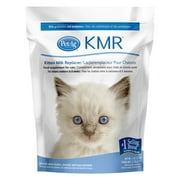 Kmr Formula Kittens
