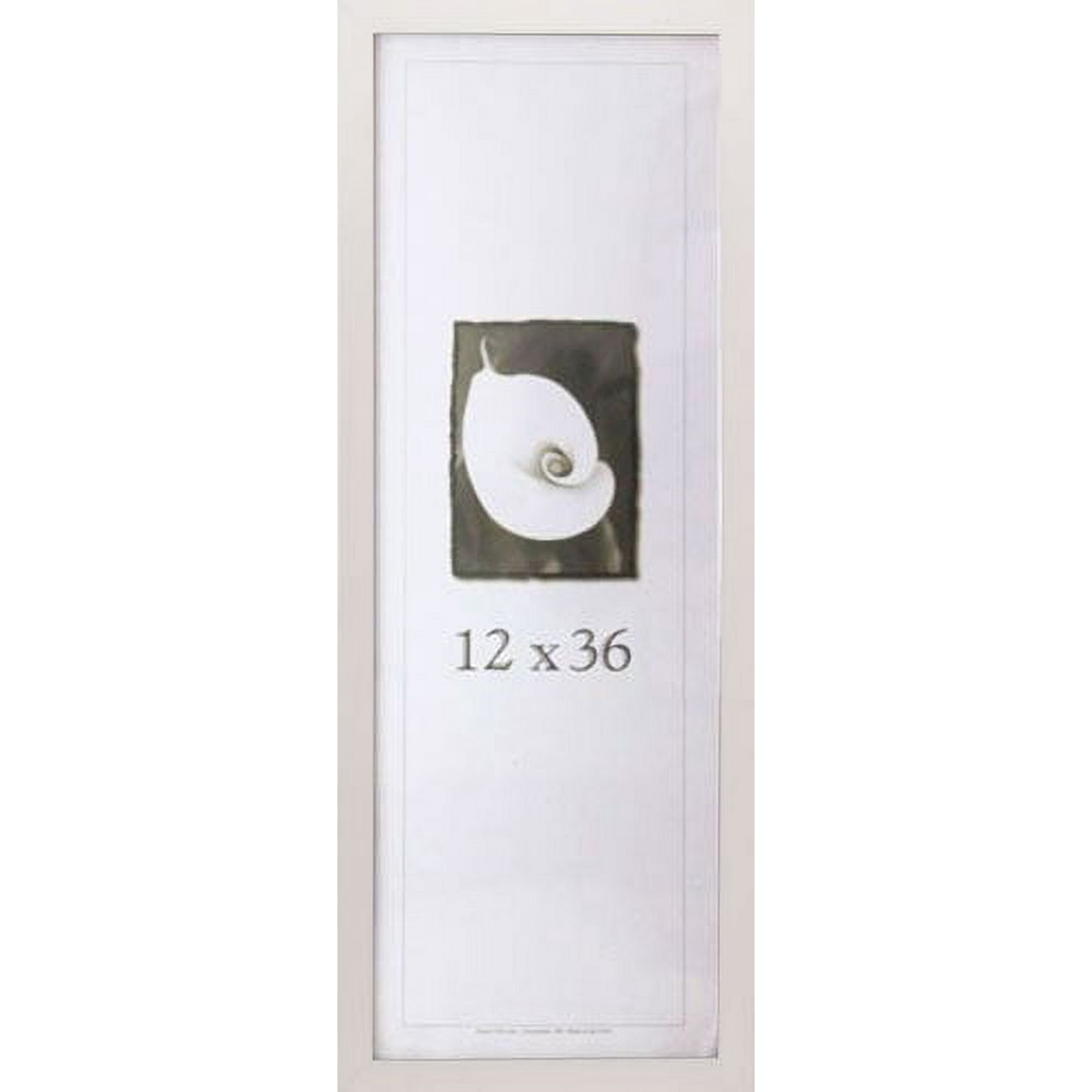 Click here for Frame Usa Simply Poly Series 12x36 Polystyrene Pos... prices