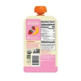 Pumpkin Tree Peter Rabbit Organic Fruit Snack, 4 oz, Strawberry Banana ...