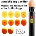 (4 pack) Magicfly Rechargeable Egg Candler Tester for Monitoring Eggs ...