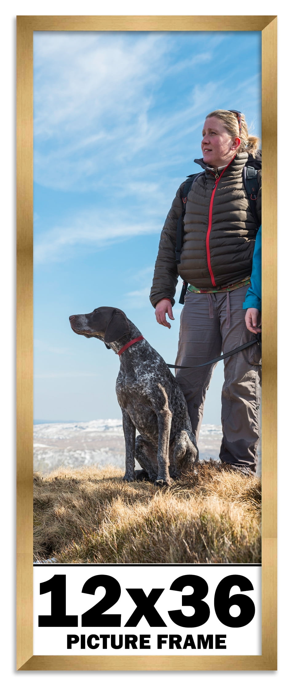 Poster Frame 12 X 36