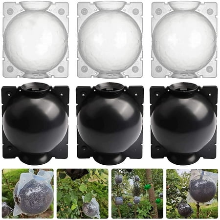 YERDGARY Propagation Ball 6 Pieces Plant Rooting Box Plant Root Device ...